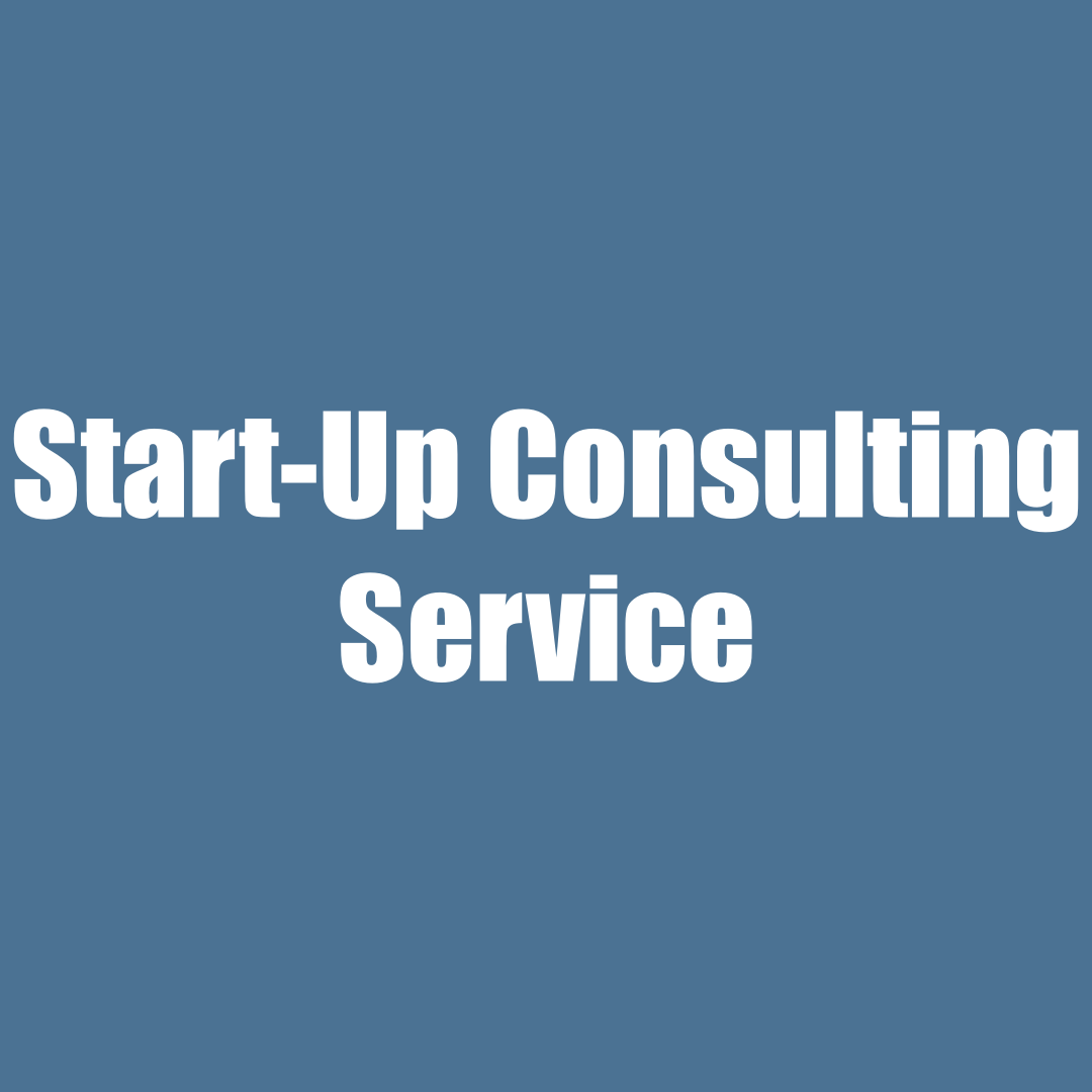 SaaS Business Start-Up Consulting Services